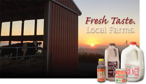 About Us - Clover Farms