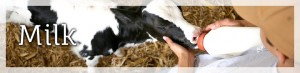 Milk - Clover Farms
